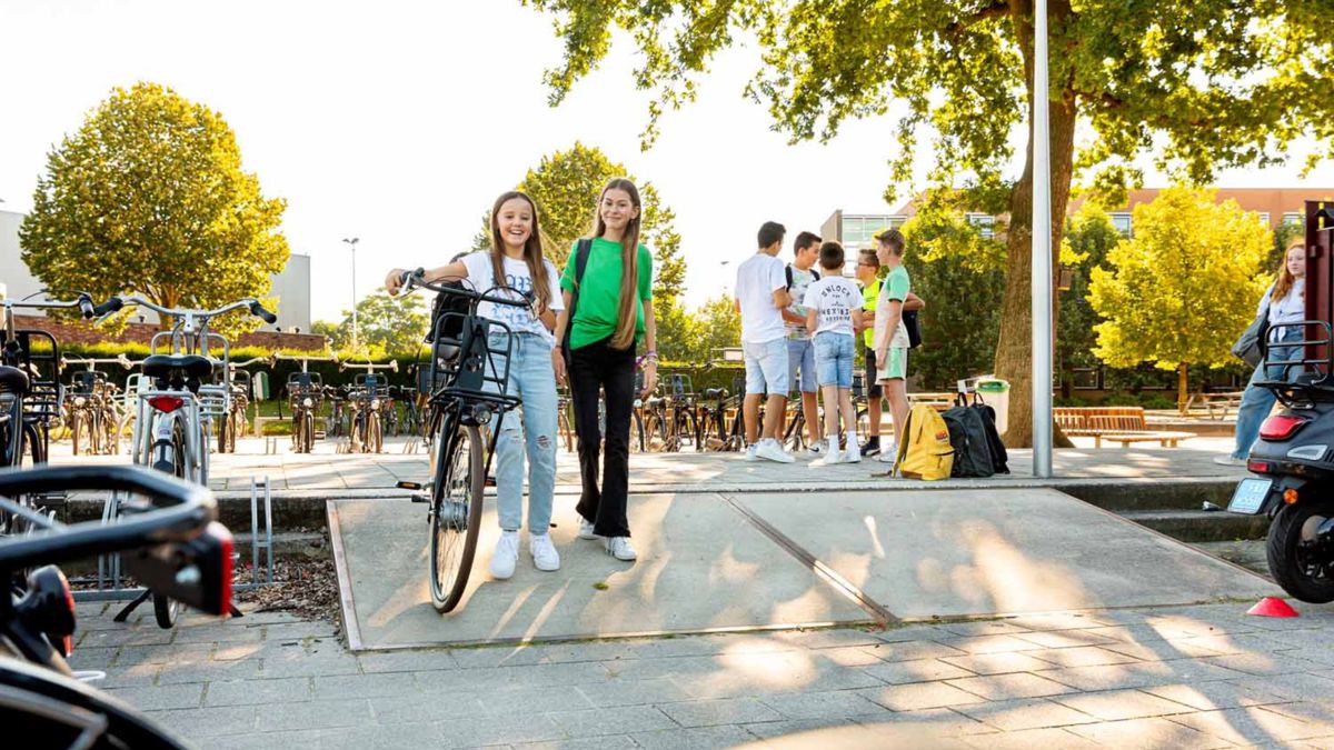 Home | Dendron College